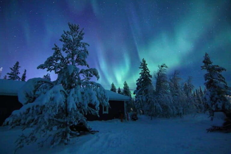 Kiruna: Snowshoe Trek with Aurora Hunt and Warm Beverage - The Value of This Experience