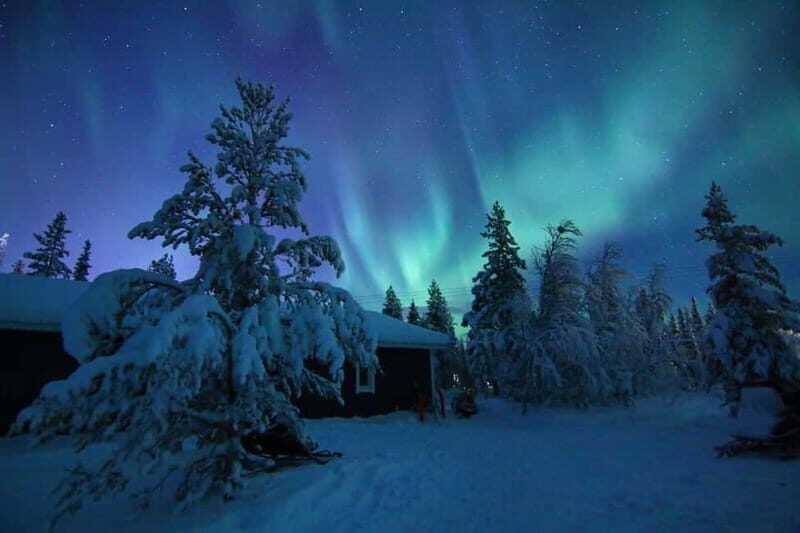 Kiruna: Snowshoe Trek with Aurora Hunt and Warm Beverage
