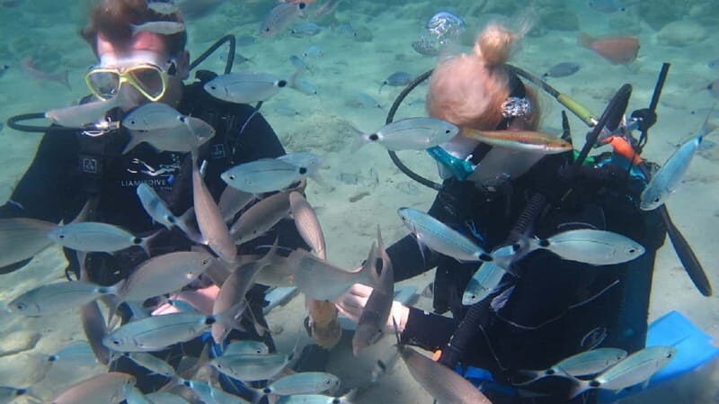 Kos: Beginner Scuba Diving at Pserimos Island