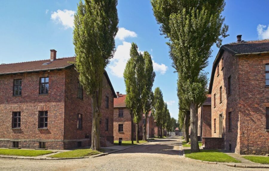 Krakow: Auschwitz Guided Tour with Optional Hotel Pickup