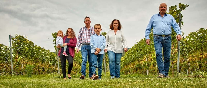 Kröv/Gut Hermes: Make your own sparkling wine  sparkling wine tasting experience