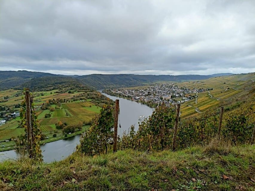 Kröv, Mosel: PLANWAGENFAHRT through the vineyards with wine tasting
