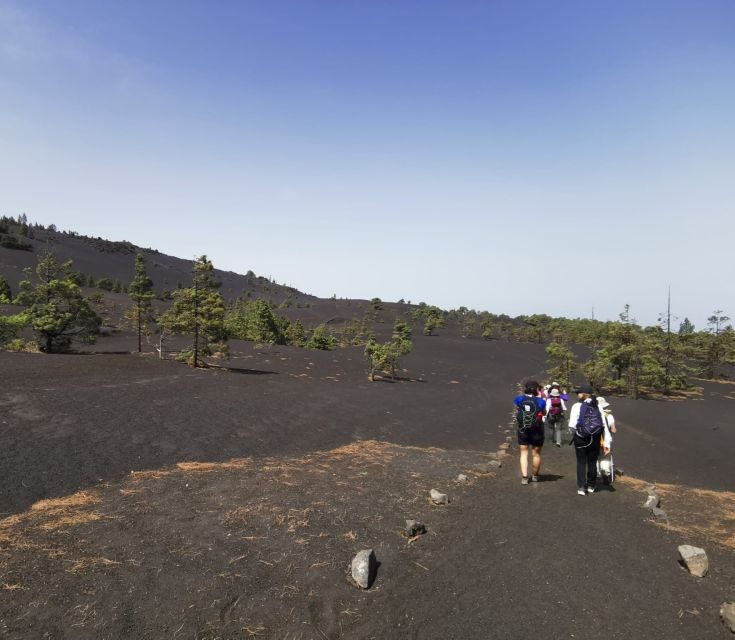 La Palma: Guided Tour to Tajogaite Volcano with Transfer