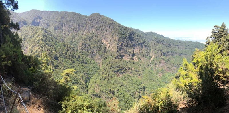 La Palma: Springs Marcos y Cordero Guided Trekking Tour