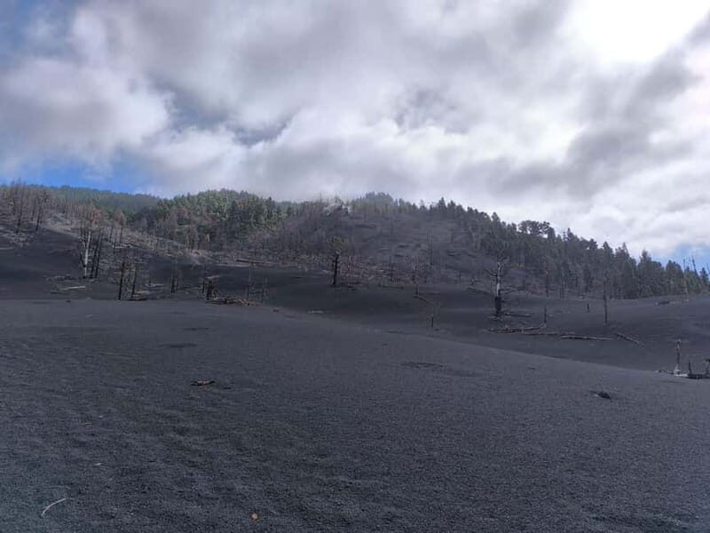 La Palma: Tajogaite Volcano Guided Hike