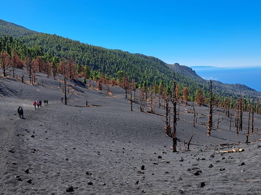 La Palma: Tajogaite Volcano Guided Trek