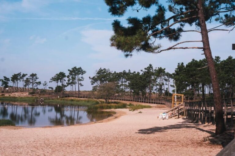 Lagoa da Ervedeira E-bike and Stand Up Paddle tour - In-Depth: Why This Tour Might Be Perfect for You