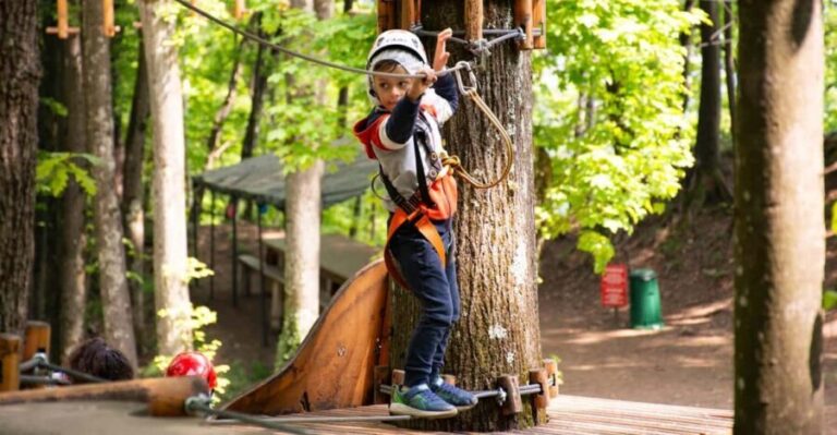 Lake Como Adventure Park Day Access - The Highlights: Why This Adventure Stands Out