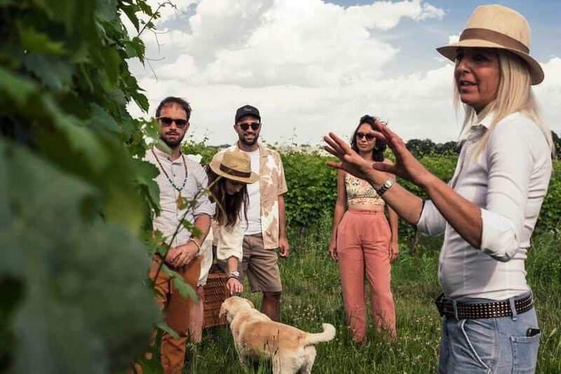 Lake Garda: Pic Nic in the vineyard with wine tasting