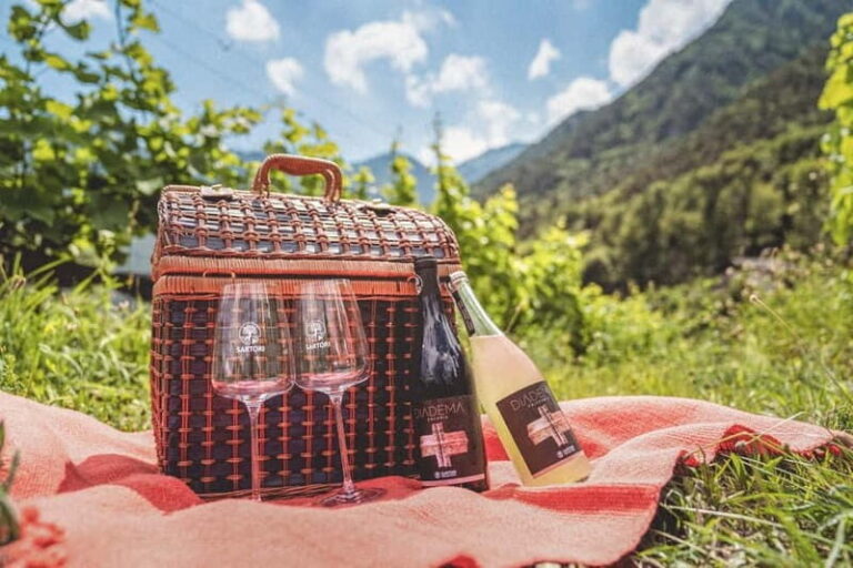 Lake Ledro: wine Pic Nic with stunning Lake View - An In-Depth Look at the Experience