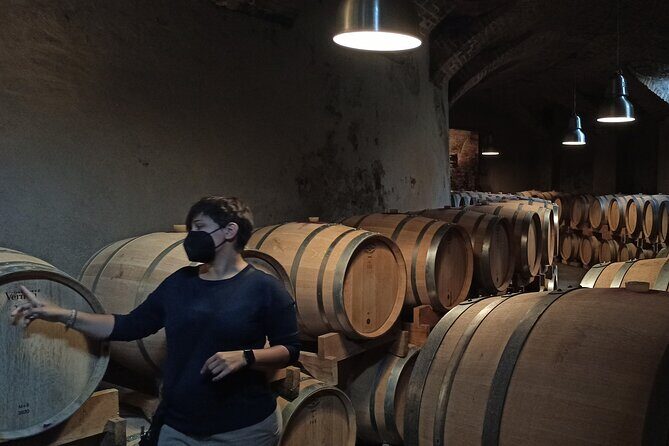 Langhe Wine & Food Tour from Turin: Barolo and More