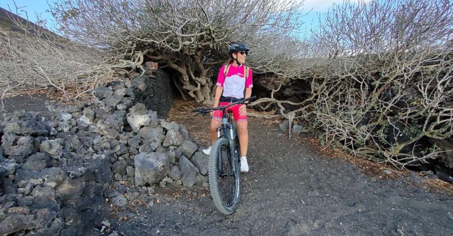 Lanzarote: Guided ebike tours around the volcanoes