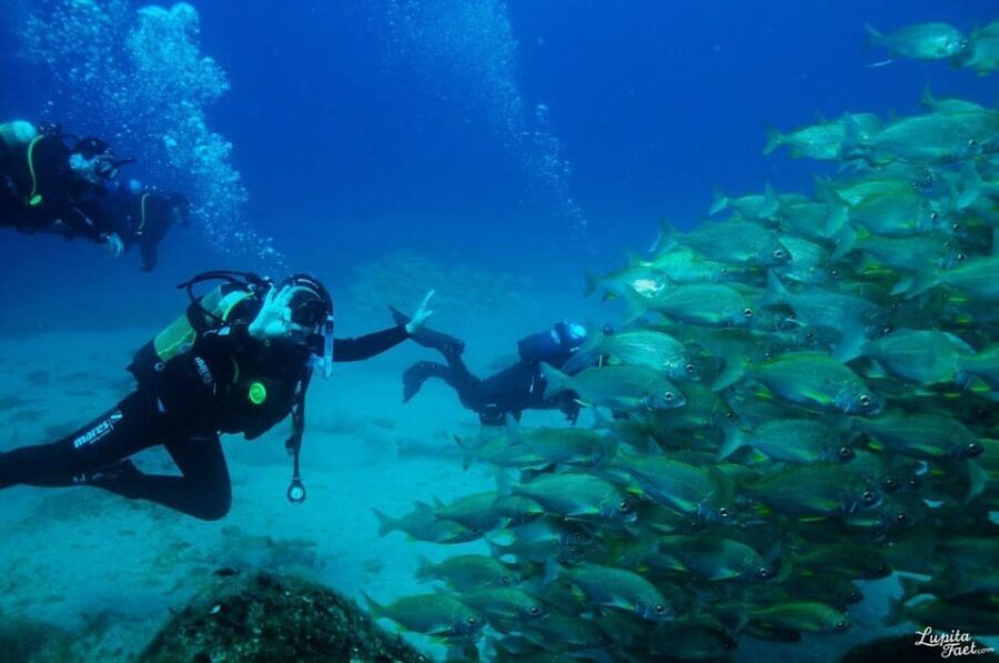 Lanzarote: Snorkeling Tour with Snack and Water