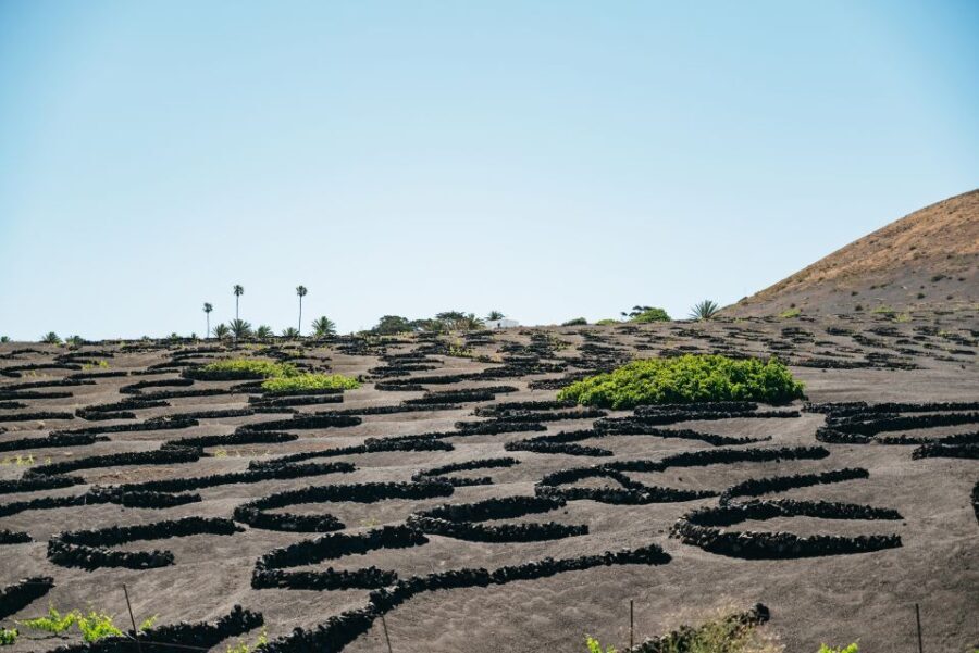 Lanzarote: Timanfaya National Park & La Geria Tour