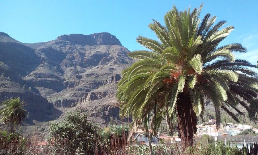 Las Palmas: 8-Hour Gran Canaria Island Highlights Tour