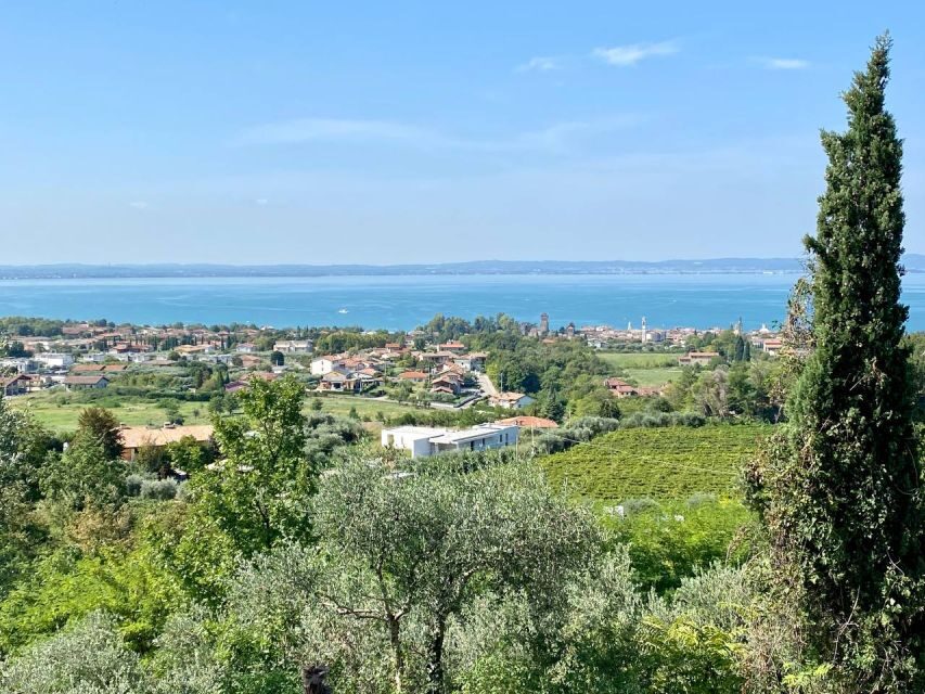 Lazise: Countryside e-Bike Tour with Wine Tasting