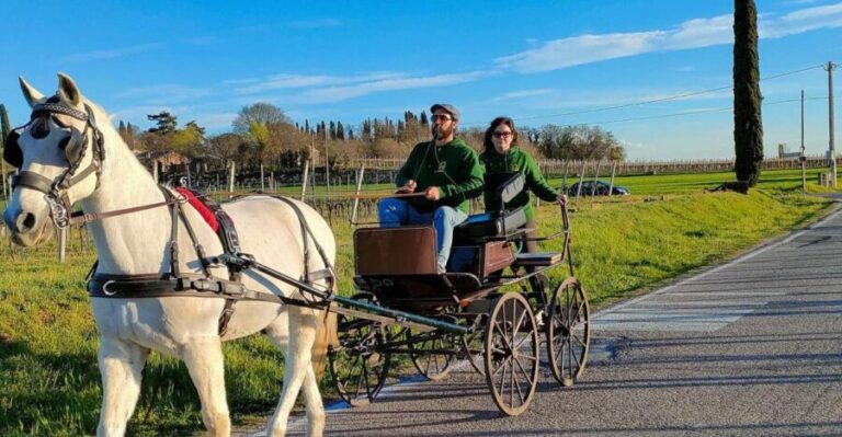 Lazise: horse carriage tour with tasting of local products - Visiting the Family-Run Beekeeping Farm