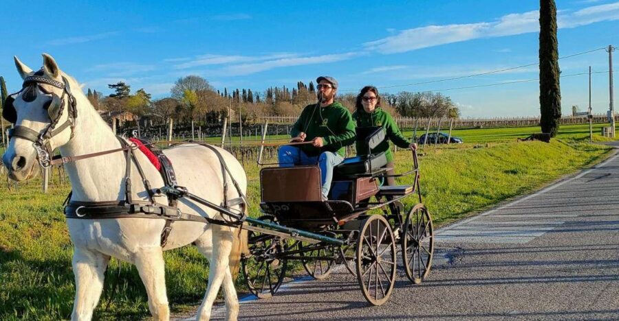 Lazise: horse carriage tour with tasting of local products