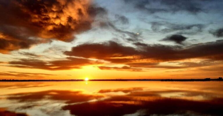 Le Grau du Roi: Half-Day Tour of Camargue - Why This Tour Is Worth Considering