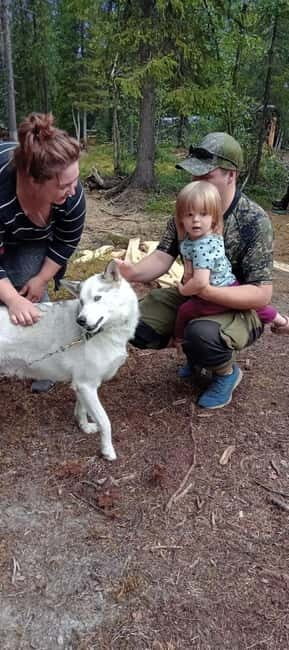 Levi: 2 KM Husky Summer Sledding with wheels - Introduction to the Husky Summer Sledding Tour