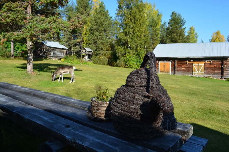 Levi: Canoeing Adventure with Reindeer Farm Visit