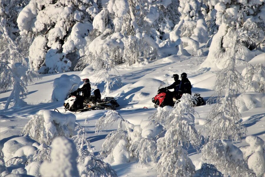 Levi: Forest Snowmobile Safari