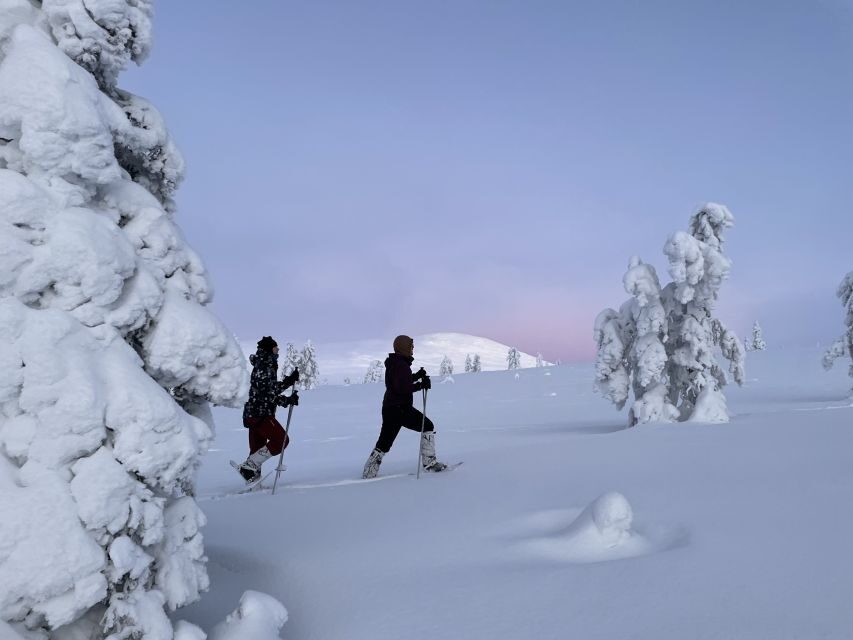 Levi: Pallas-Yllästunturi National Park Snowshoeing Tour