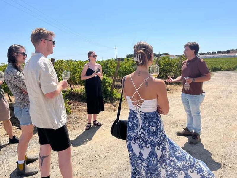 Lisbon: Full-Day Wine Tasting Tour in Setúbal ALL INCLUSIVE