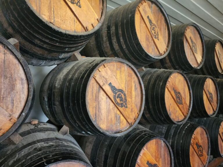 Lisbon: Private All Inclusive Setúbal & Arrábida Wine Tour - Practical Details: What to Expect