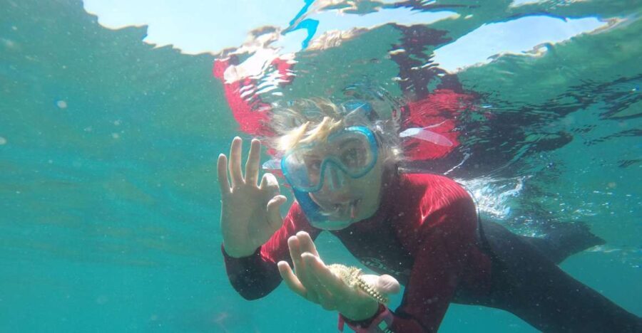 Lisbon: Snorkelling in Sesimbra/Arrábida Natural Park