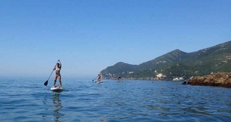 Lisbon: Stand Up Paddle Lesson in Arrábida, Setubal,Sesimbra - Exploring the Experience: What You Get and What It Means for You