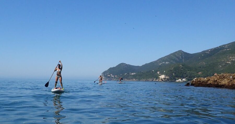 Lisbon: Stand Up Paddle Lesson in Arrábida, Setubal,Sesimbra