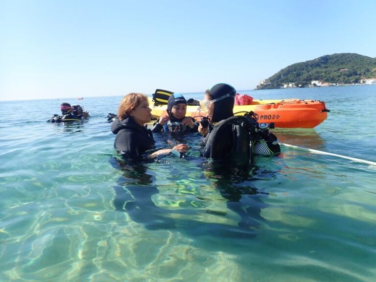 Lisbon: Try Dive in Arrábida Marine Reserve Setubal Sesimbra - The Cost and What You’re Getting