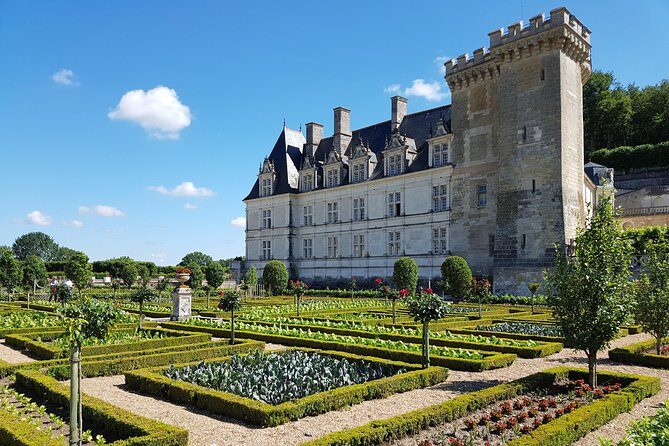 Loire Valley Day from Amboise : Azay le Rideau, Villandry, Winery
