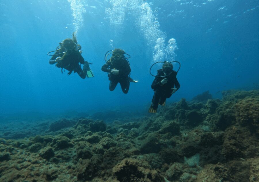 Los Cristianos: Basic Diver Course