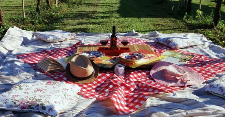 Lucca: Picnic Lunch at a Vineyard by Bike