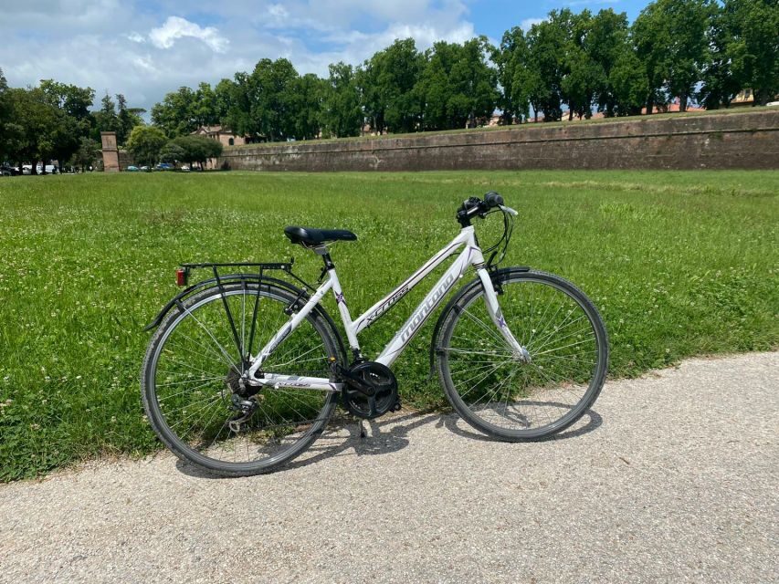 Lucca: Trekking Bike Rental