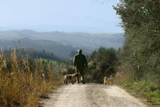 Luck and Patience: truffle hunting in Tuscany - Authenticity and Unique Appeal