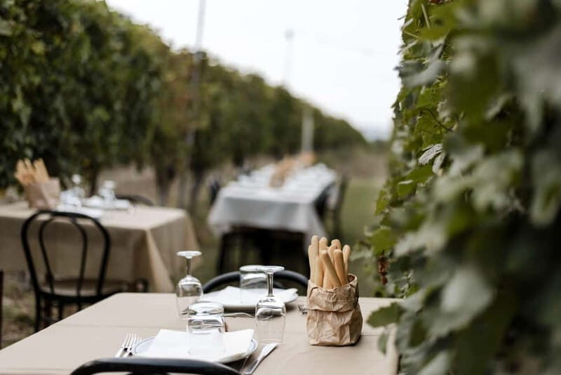 Lunch in the Vineyard in Alba