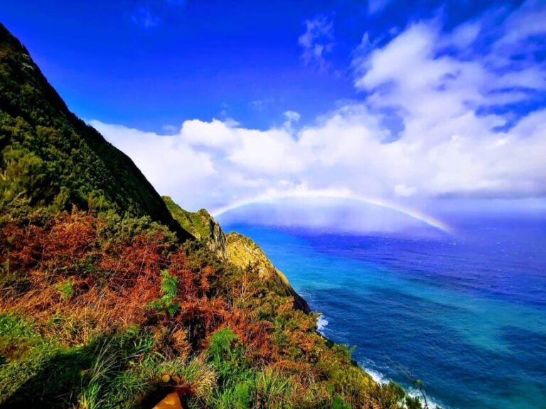 Madeira E-Buggy Adventure: 4x4 thrill & epic views! Book now - What Youll Love About This Tour