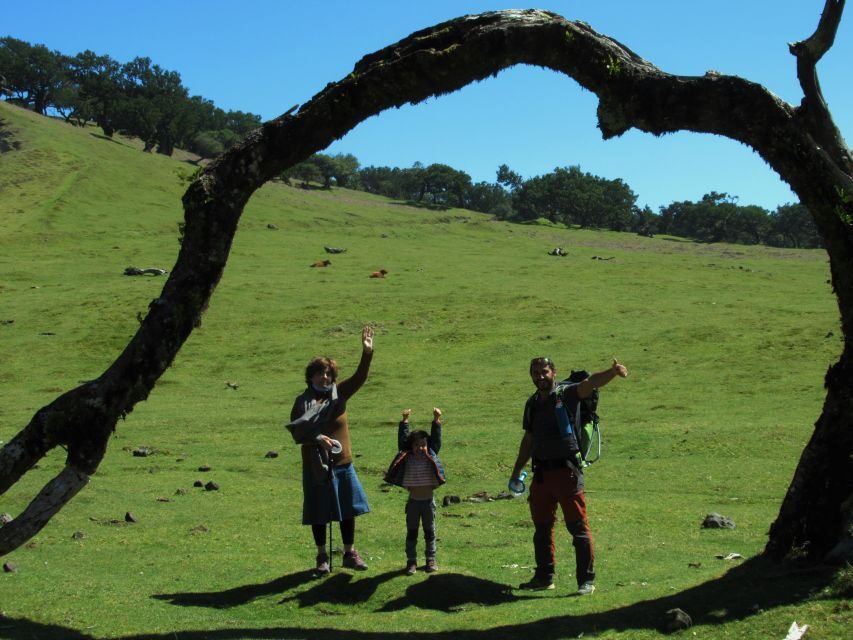 Madeira: Fanal Forest Guided Hiking Tour