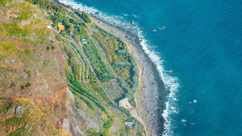 Madeira: Highest Cliff in Europe & Visit to a Winery