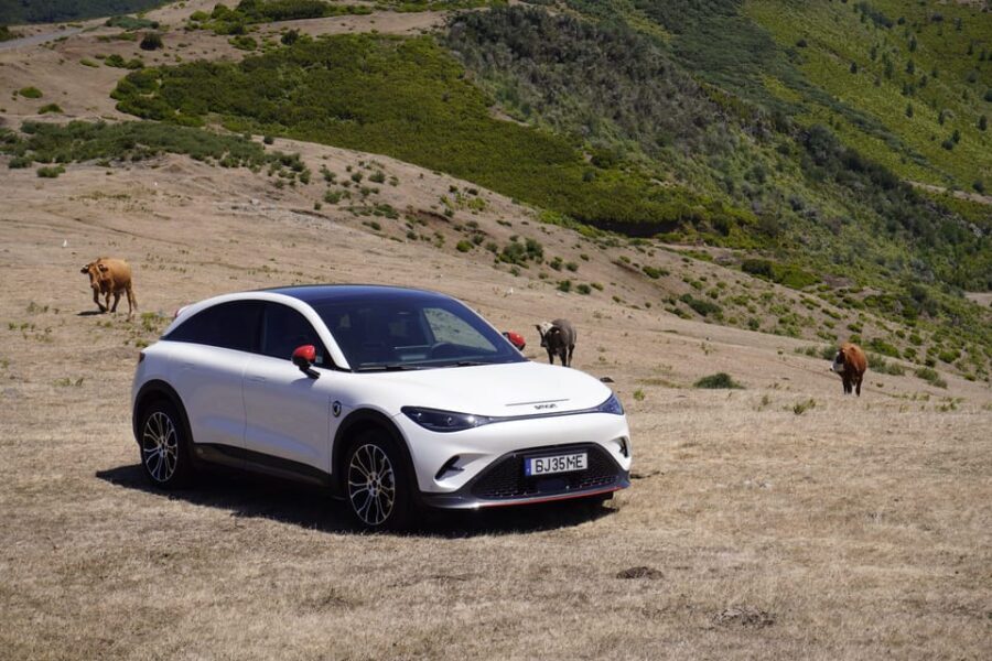 Madeira Private Premium Eco-Friendly Tour in Electric Car
