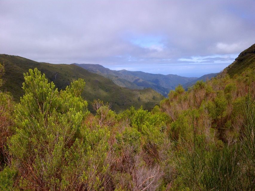 Madeira: Rabaçal Valleys 3-Hour Guided Walk