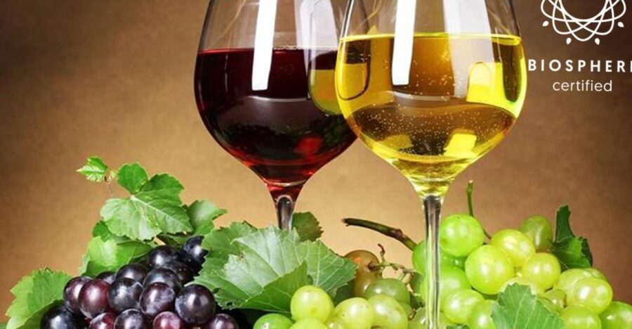 Madeira: Wine Tasting Experience Honey Museum and Cabo Girão