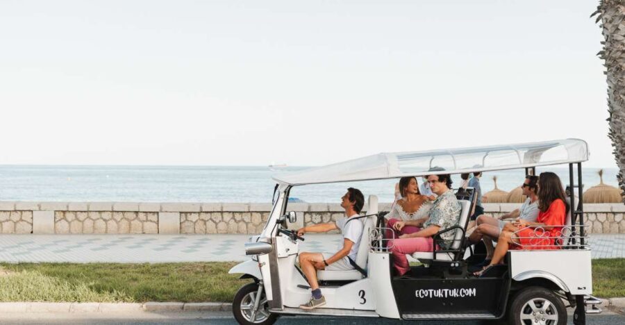 Malaga: Private City Tour by Eco Tuk Tuk