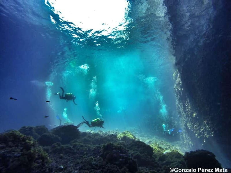 Malta: Scuba Diving Experience for Beginners w/certificate