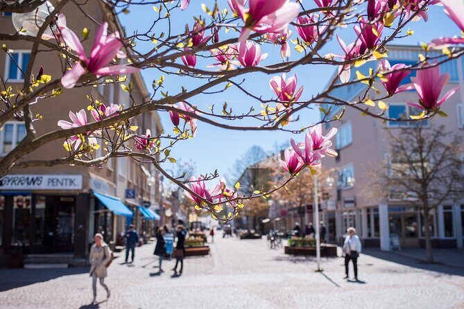 Mariehamn Private Guided Walking Tour