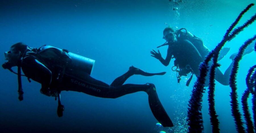 Marmaris: Scuba Diving Experience with 2 Dives and Lunch