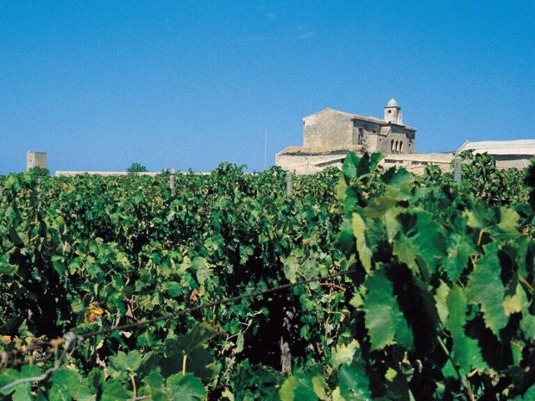 Marsala: Winery Tour with Wine Tasting and Local Products - The Tasting Experience